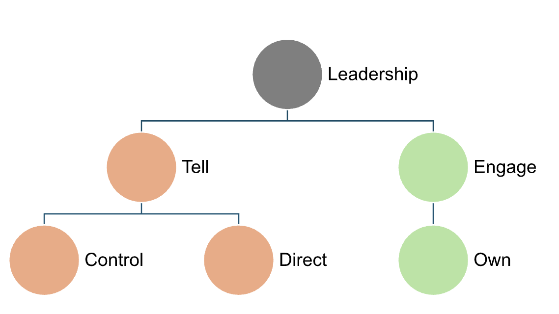 Understanding Teal 2.0 Leadership: A Path to Humanistic Management