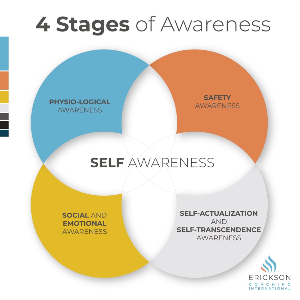 Navigating the Four Stages of Awareness: A Journey in Coaching