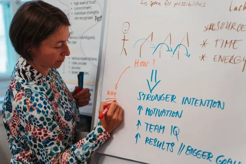 Erickson International Coaching Certification