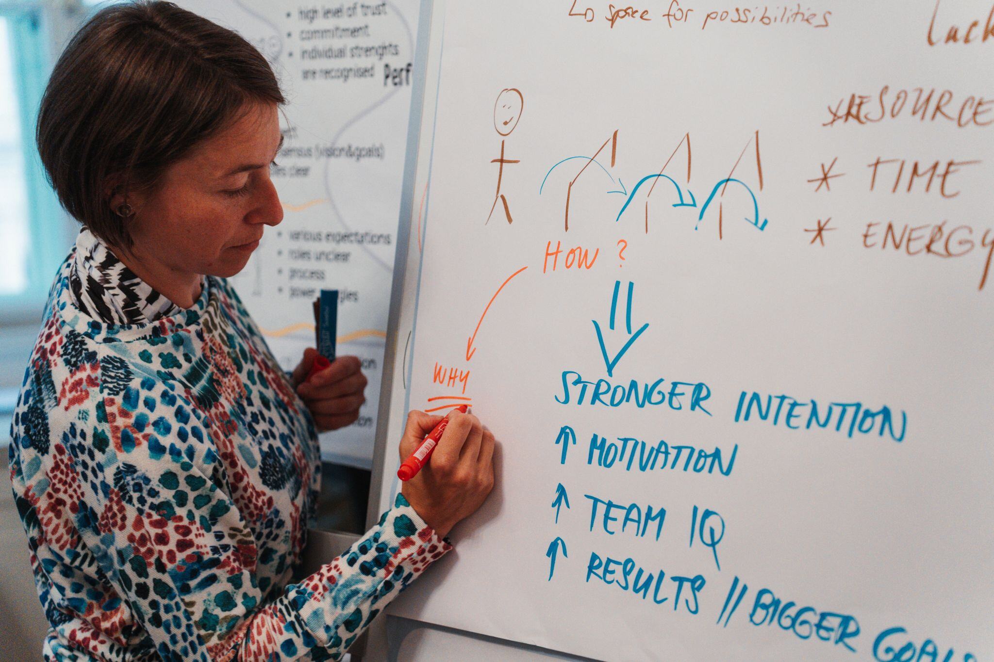 Erickson International Coaching Certification