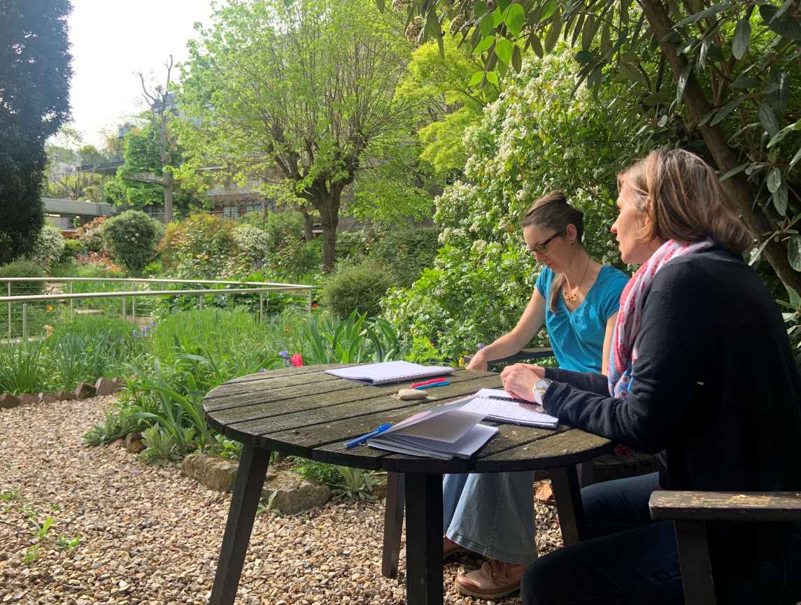 Erickson International Coaching Certification